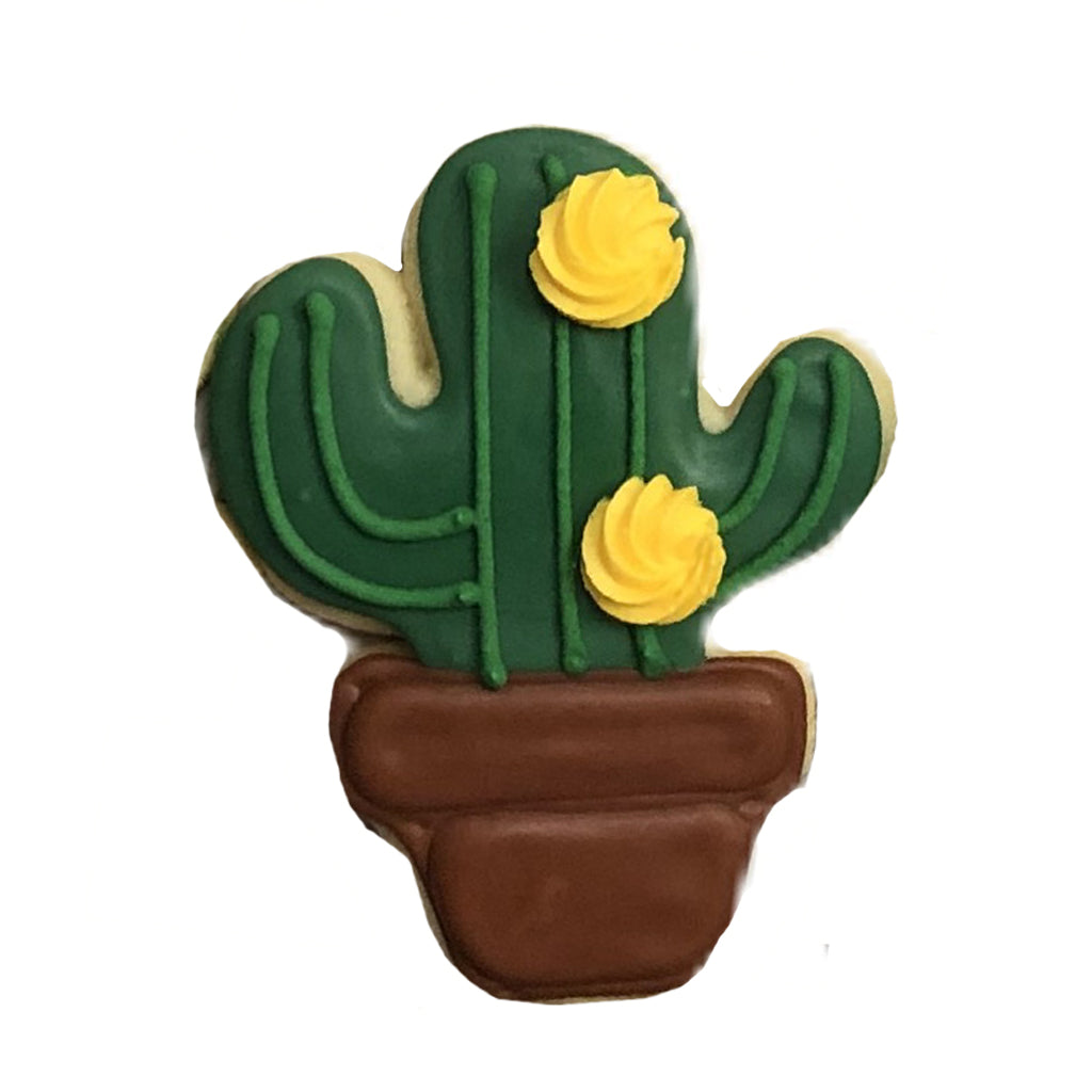 Cactus – Dessert Gallery Bakery & Cafe