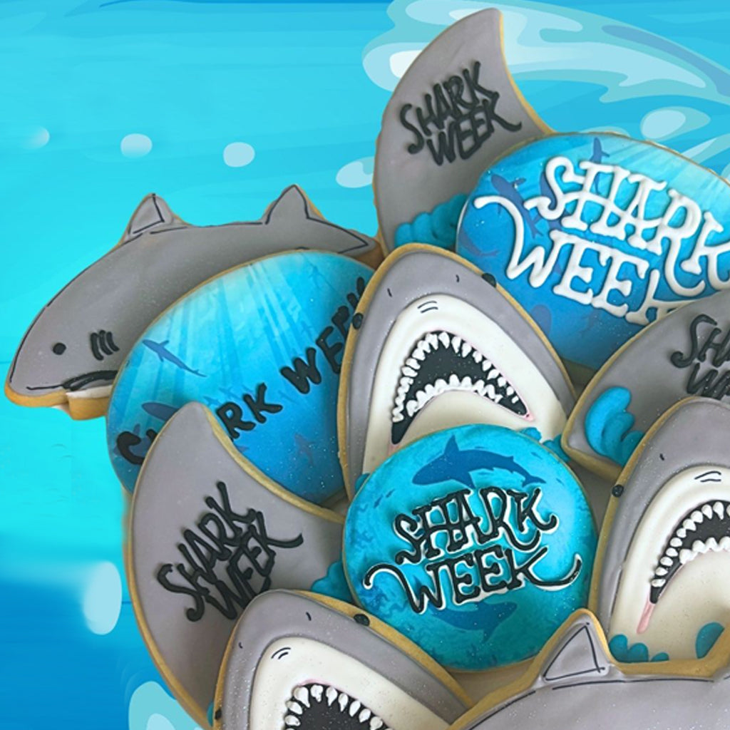 Shark Week Cookies, Assorted – Dessert Gallery Bakery & Cafe